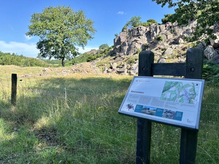 Strande på Bornholm - her finder du de bedste badestrande